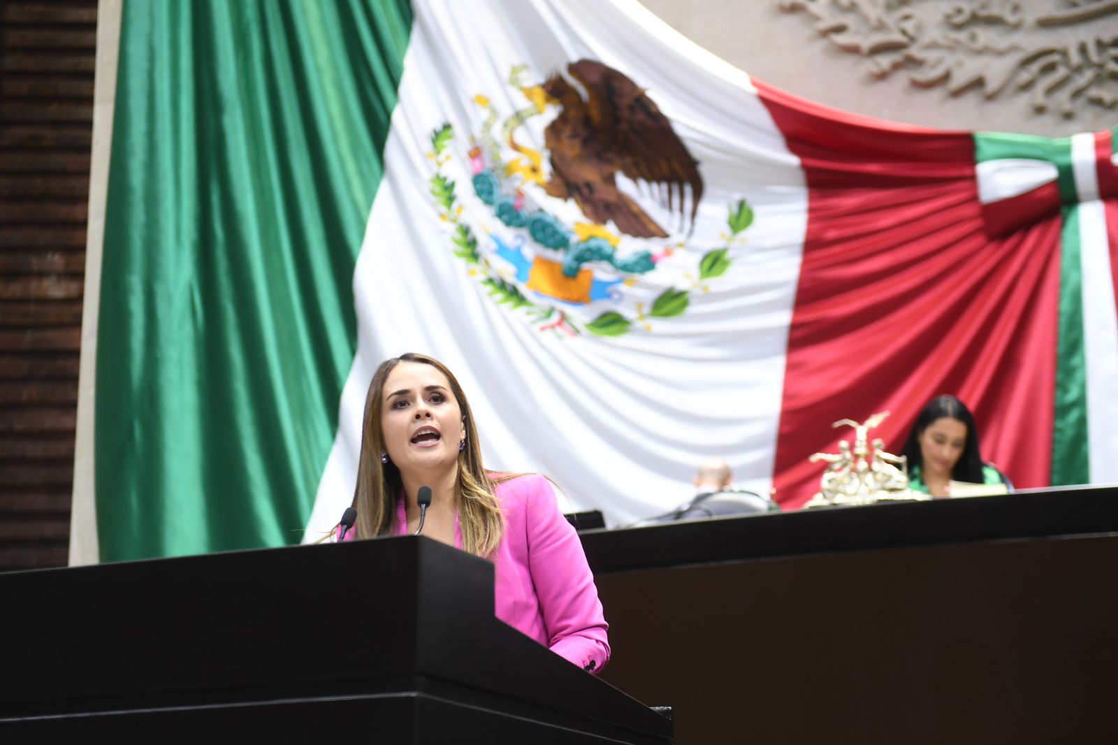 TRANSCRIPCIÓN DE LA INTERVENCIÓN DE LA DIPUTADA ANA LAURA SÁNCHEZ ...